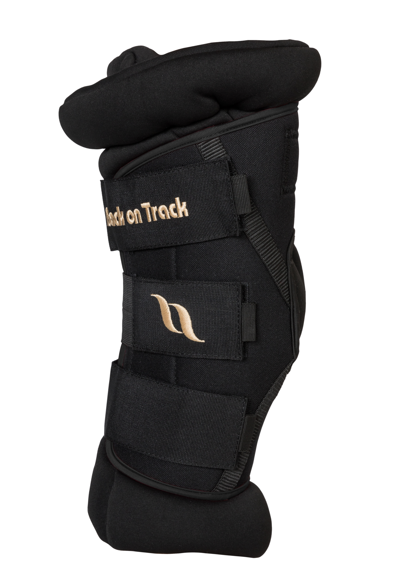 Therapeutic Padded Royal Hock Boots with Holes – The Warrior Store