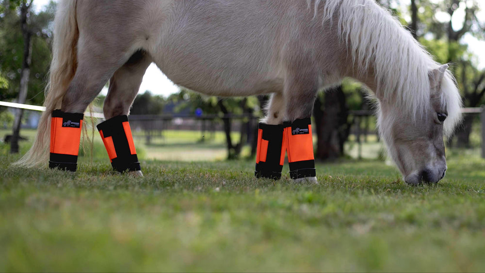 Warrior Fly Boots – The Warrior Store