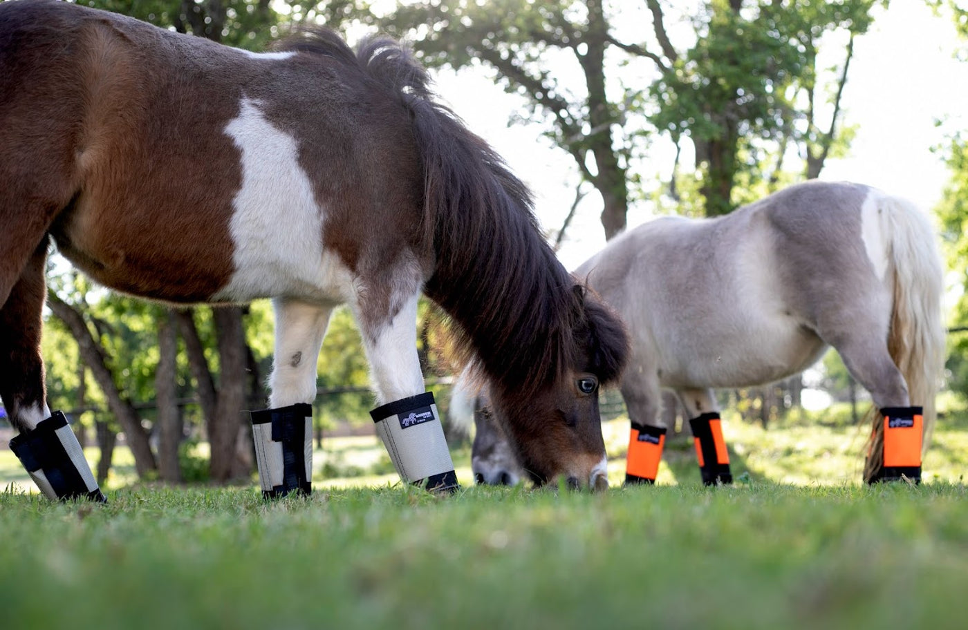 Warrior Fly Boots - SET OF FOUR – The Warrior Store