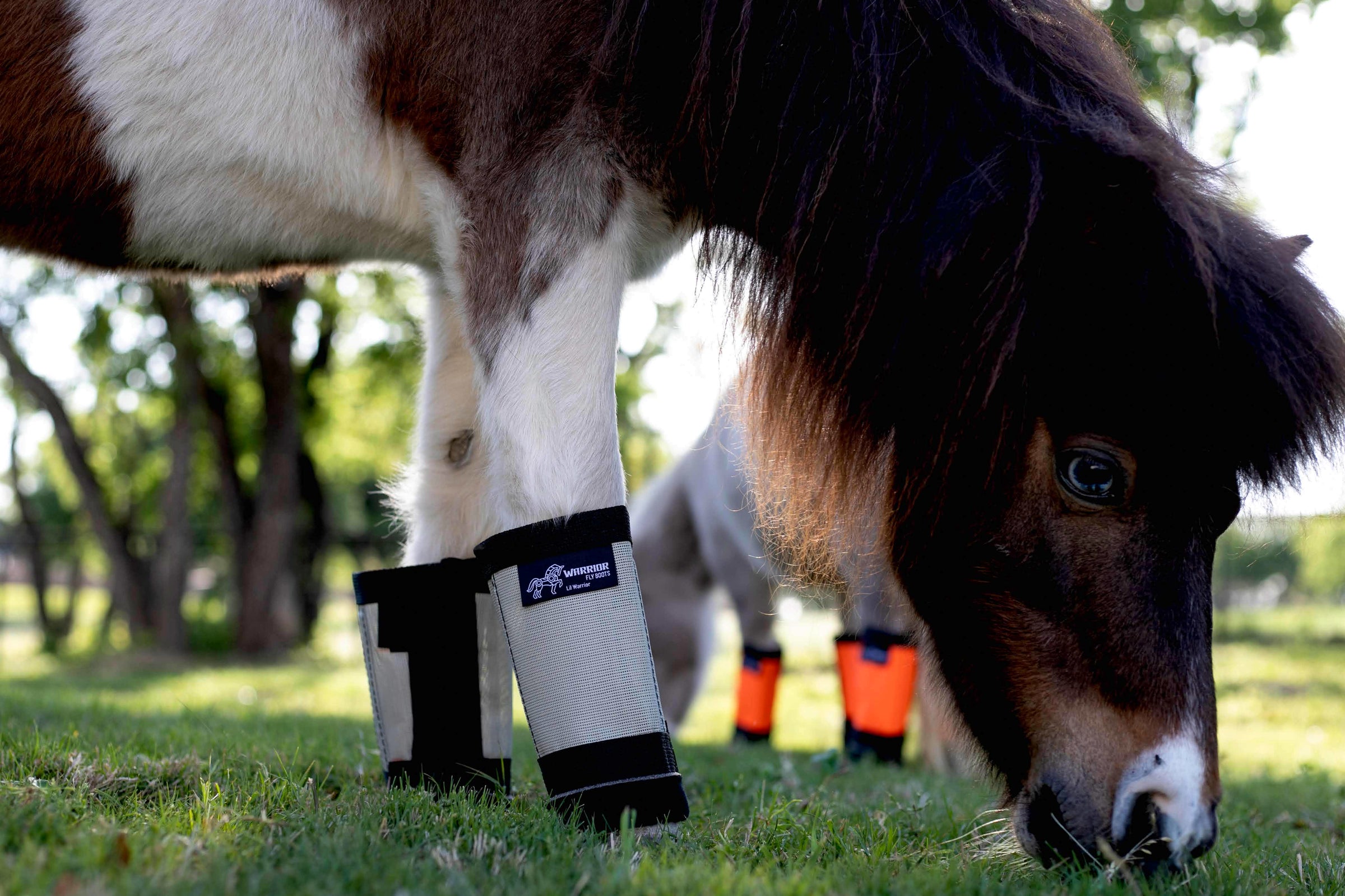 Warrior Fly Boots – The Warrior Store