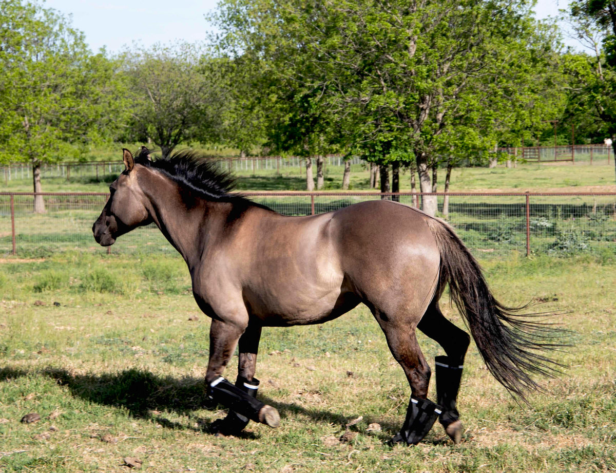 Warrior Fly Boots – The Warrior Store