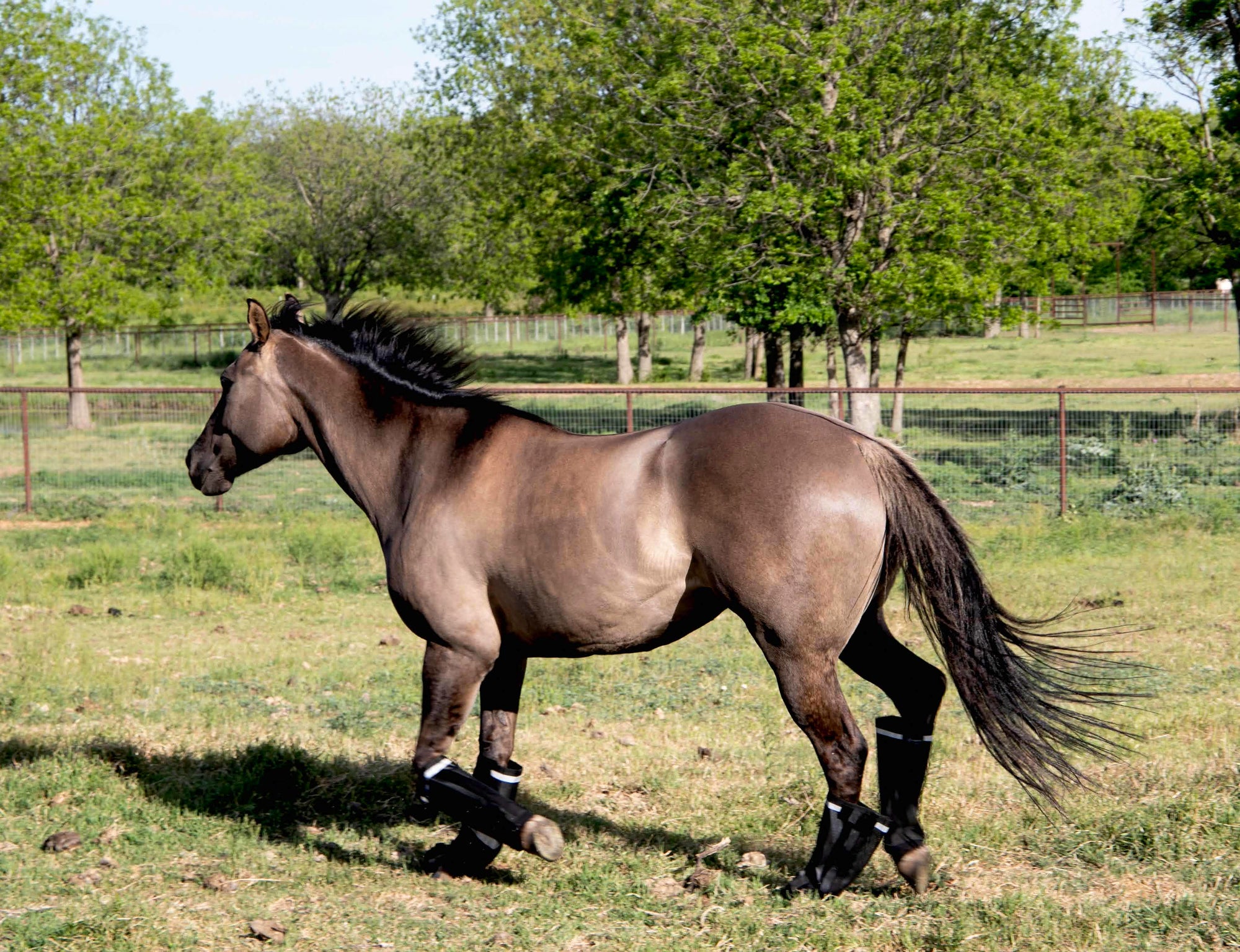 Warrior Fly Boots – The Warrior Store