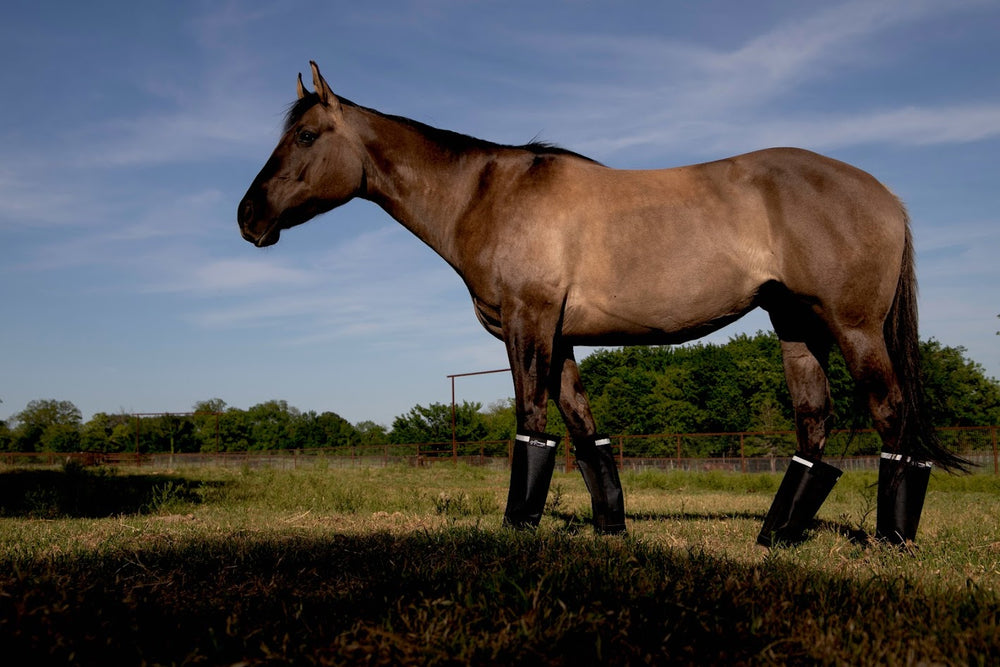 Warrior Fly Boots - SET OF FOUR – The Warrior Store