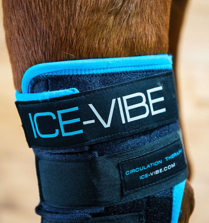 Ice-Vibe® Hock Wrap – The Warrior Store
