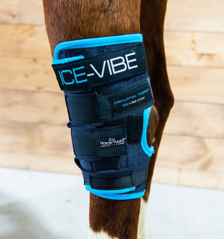 Ice-Vibe® Hock Wrap – The Warrior Store