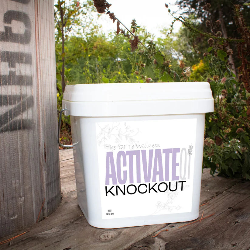 Knockout – The Warrior Store