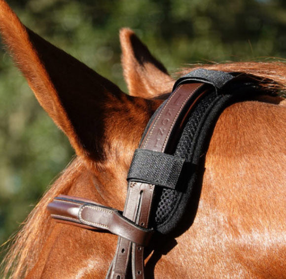 Therapeutic Poll Pad – The Warrior Store